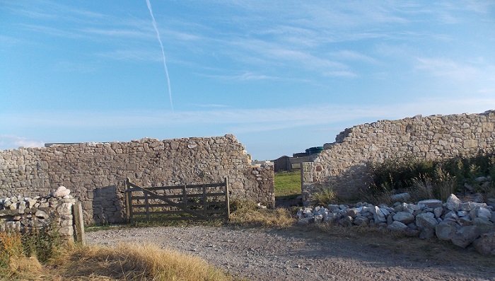 Volunteering for the National Trust: Building Conservation on Lundy ...