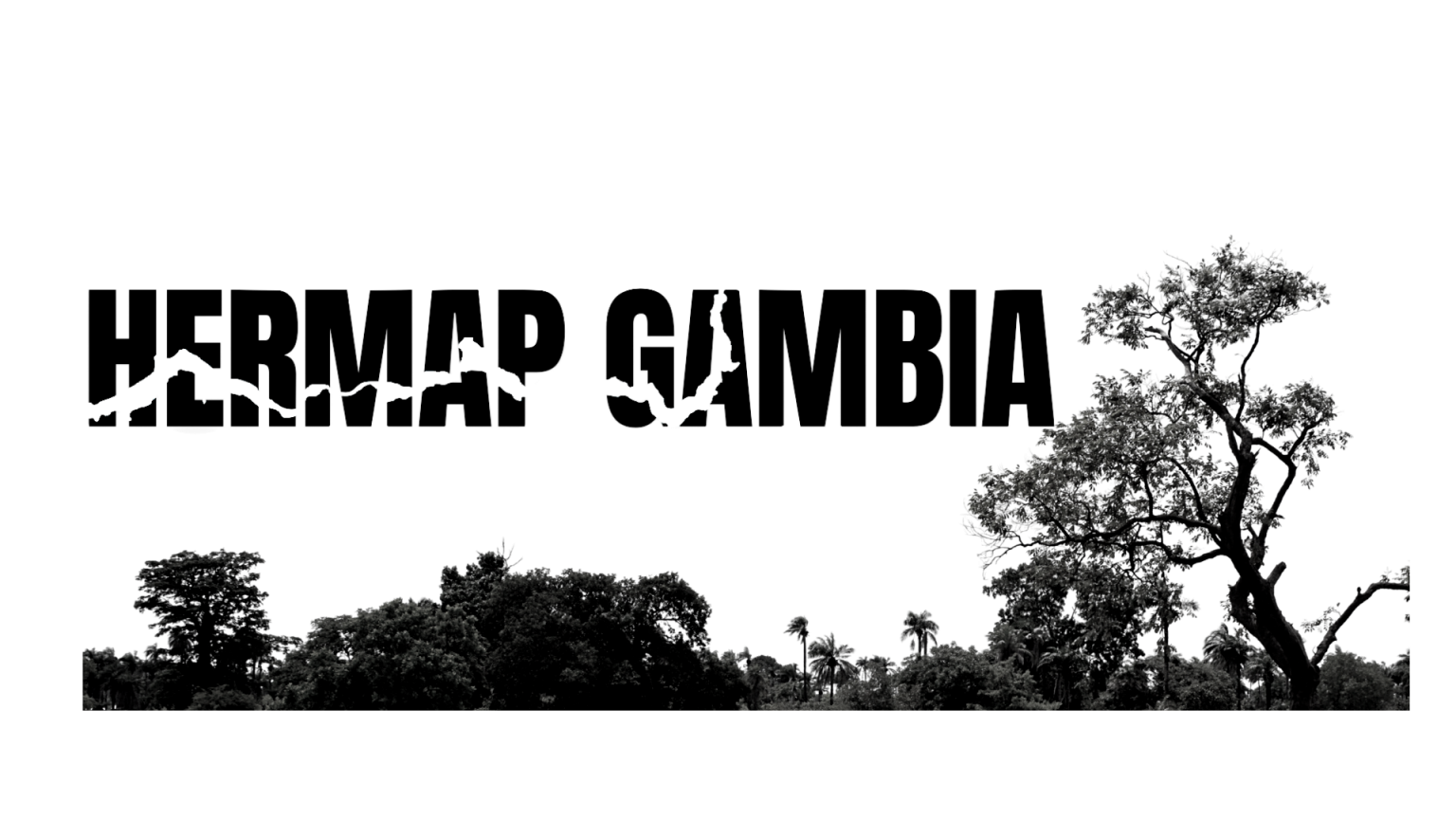 Rehabilitation of Genieri Community Museum and building of human ...